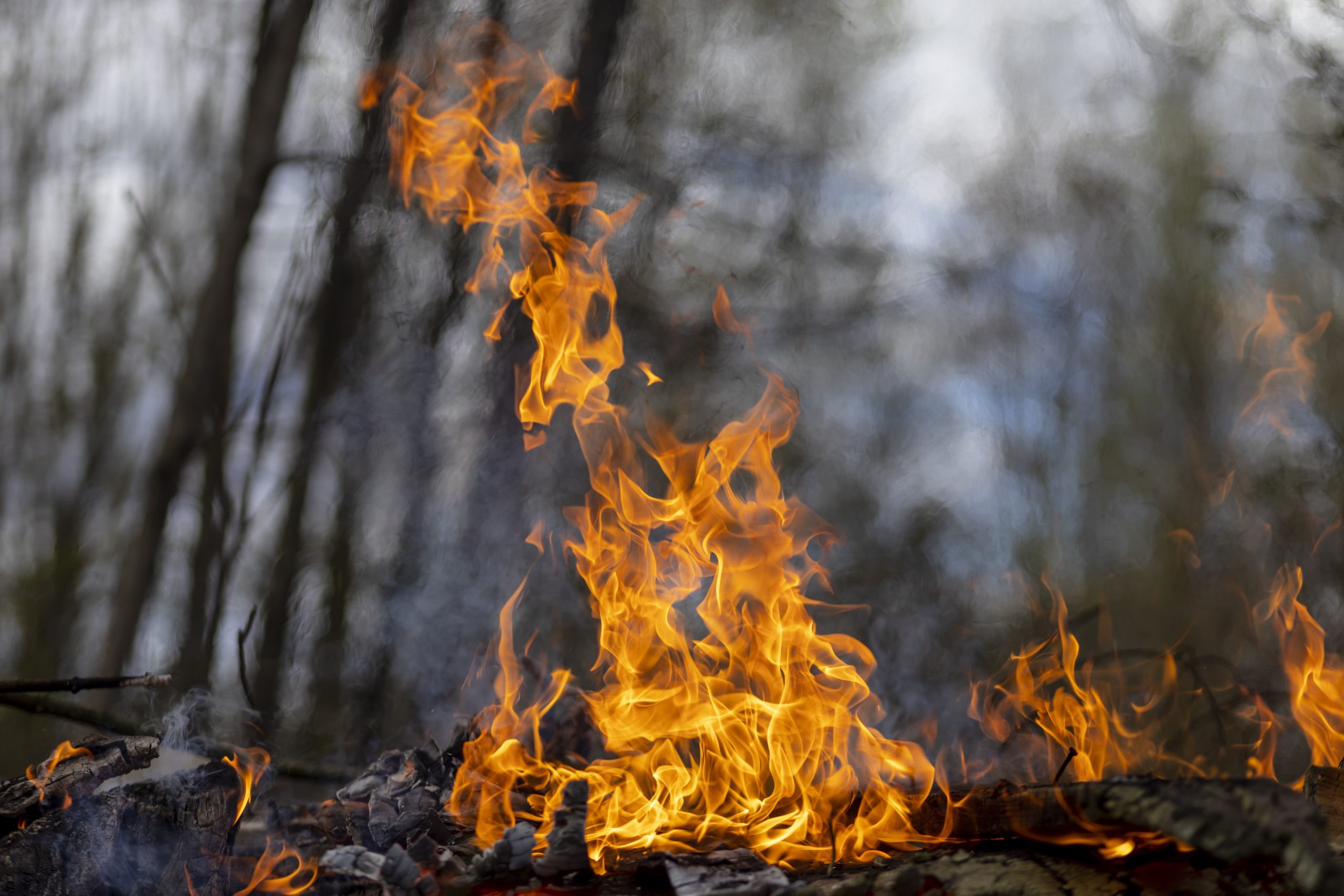 Mastering the Flames: CRCS Guide to Wildfire Preparedness - Cranbrook ...