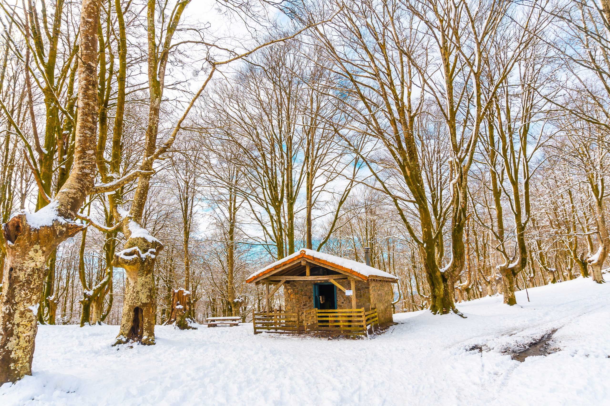 Winterizing Your Radio Shack: Protecting Equipment During the Cold ...